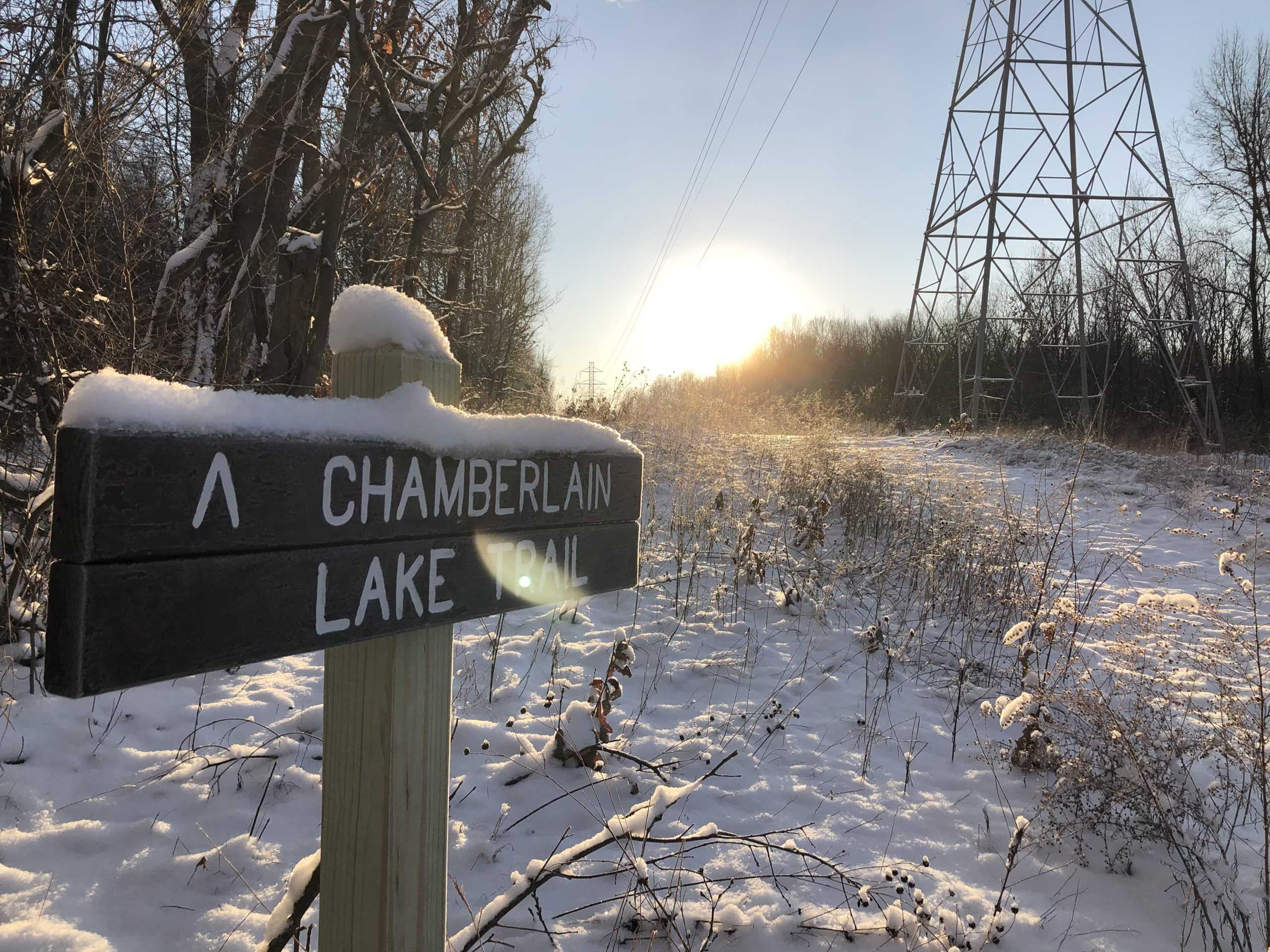 A walk in the woods: Chamberlain Lake Nature Preserve – The Preface